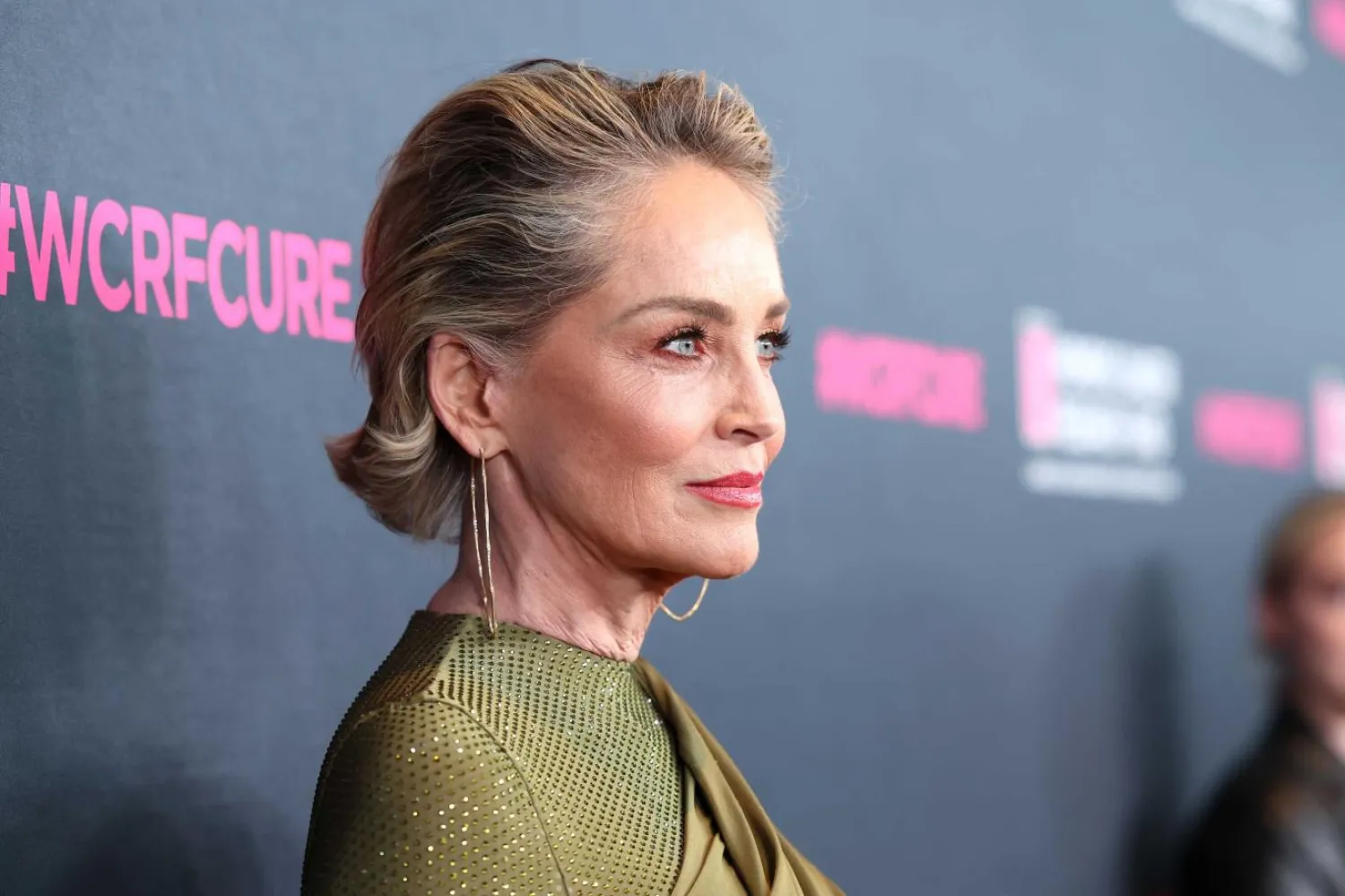 A Look at Sharon Stone’s Journey in Hollywood - Pets Stories